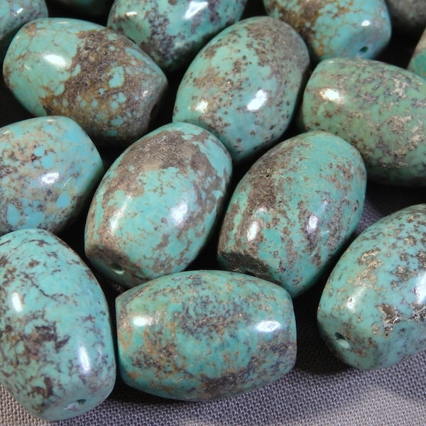 Campitos Turquoise Beads - Etsy