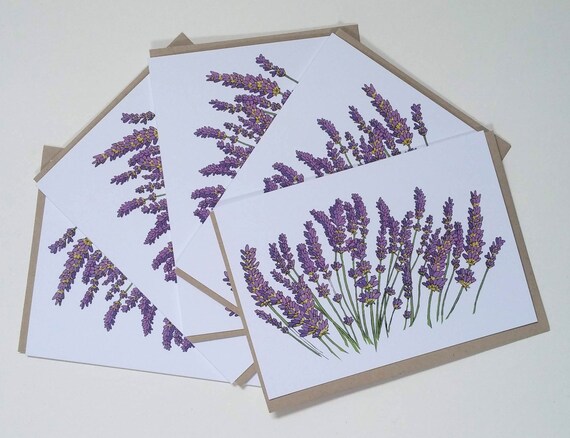 Lavender Greeting Cards | Etsy