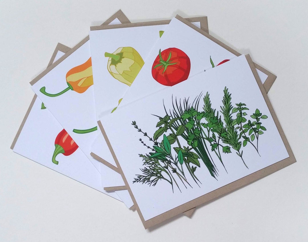 Saucy Greeting Cards - Etsy