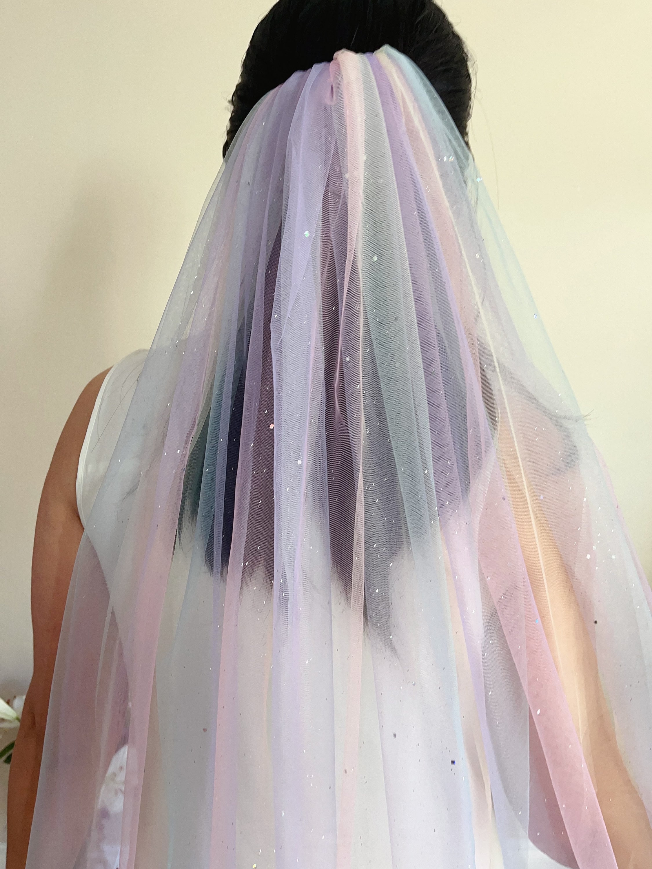 Rainbow Pride Colorful Veil, Sparkle Glitter Veil Unique Wedding Bridal ...