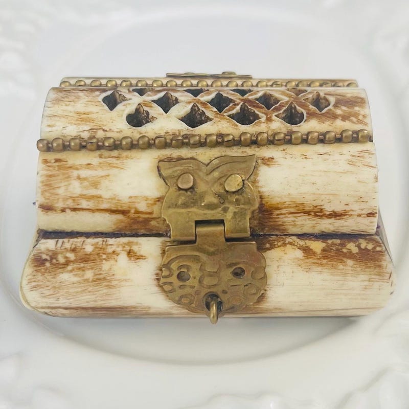 Vintage Camel Bone Box - Etsy