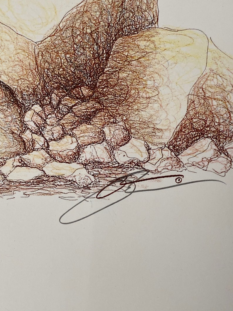 Desert Tortoise Susan Morrison American Wildlife Master Artist ...