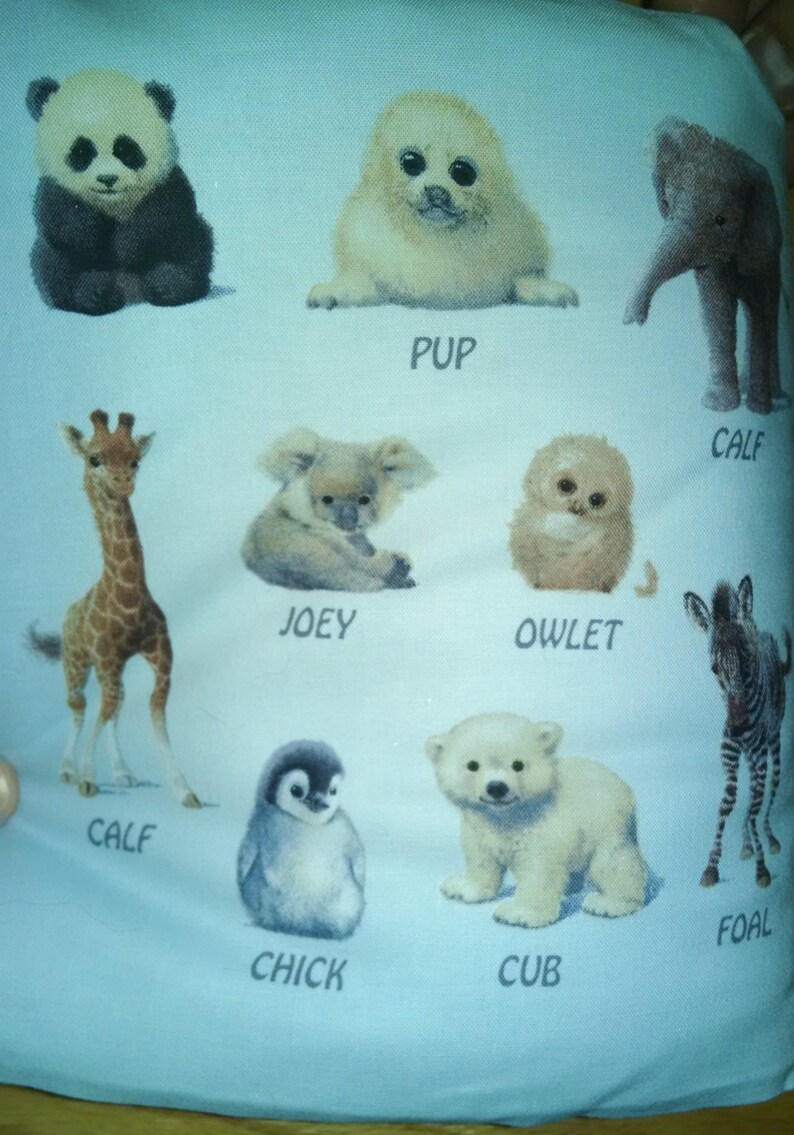 Whose Baby Am I Cloth Book BK150140 - Etsy