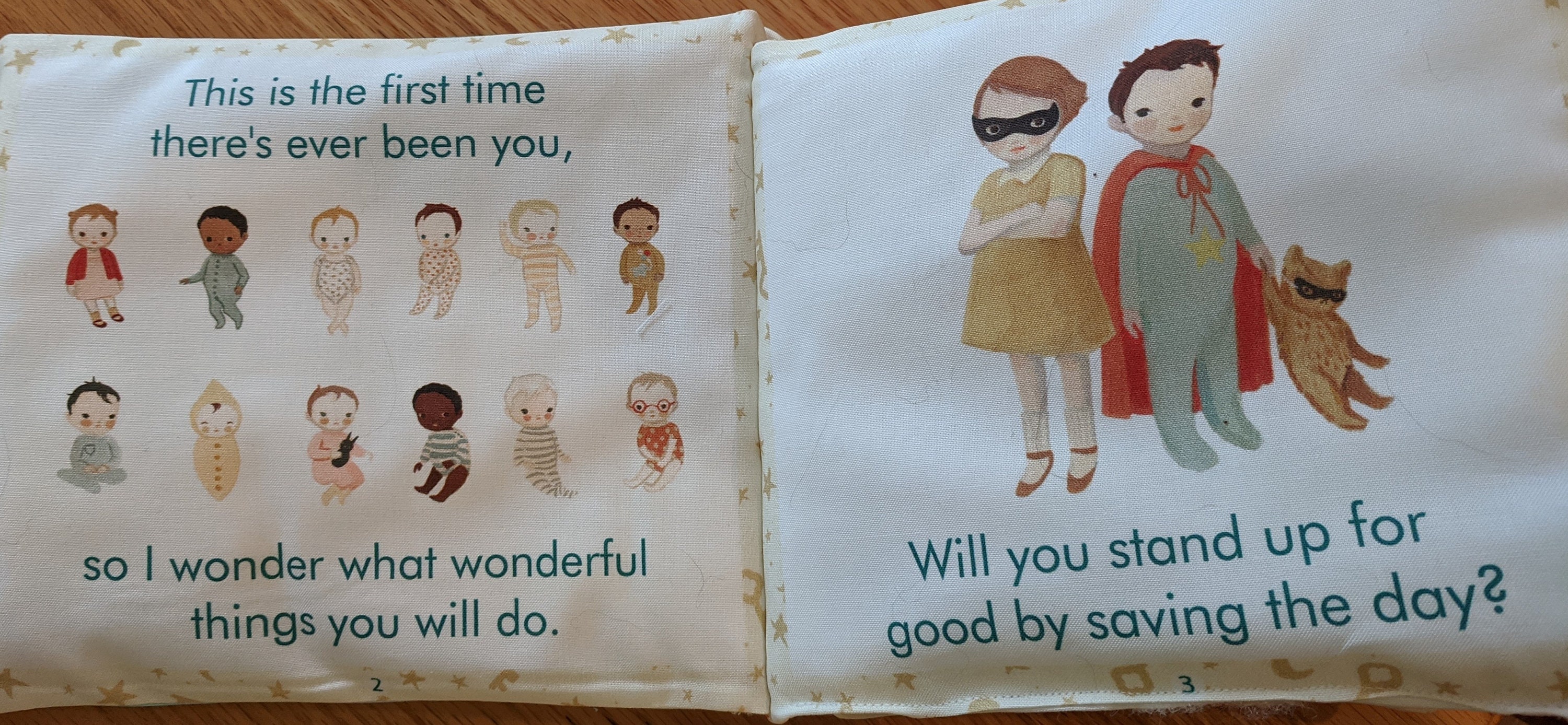 The Wonderful Things You Will Be BK150289 - Etsy