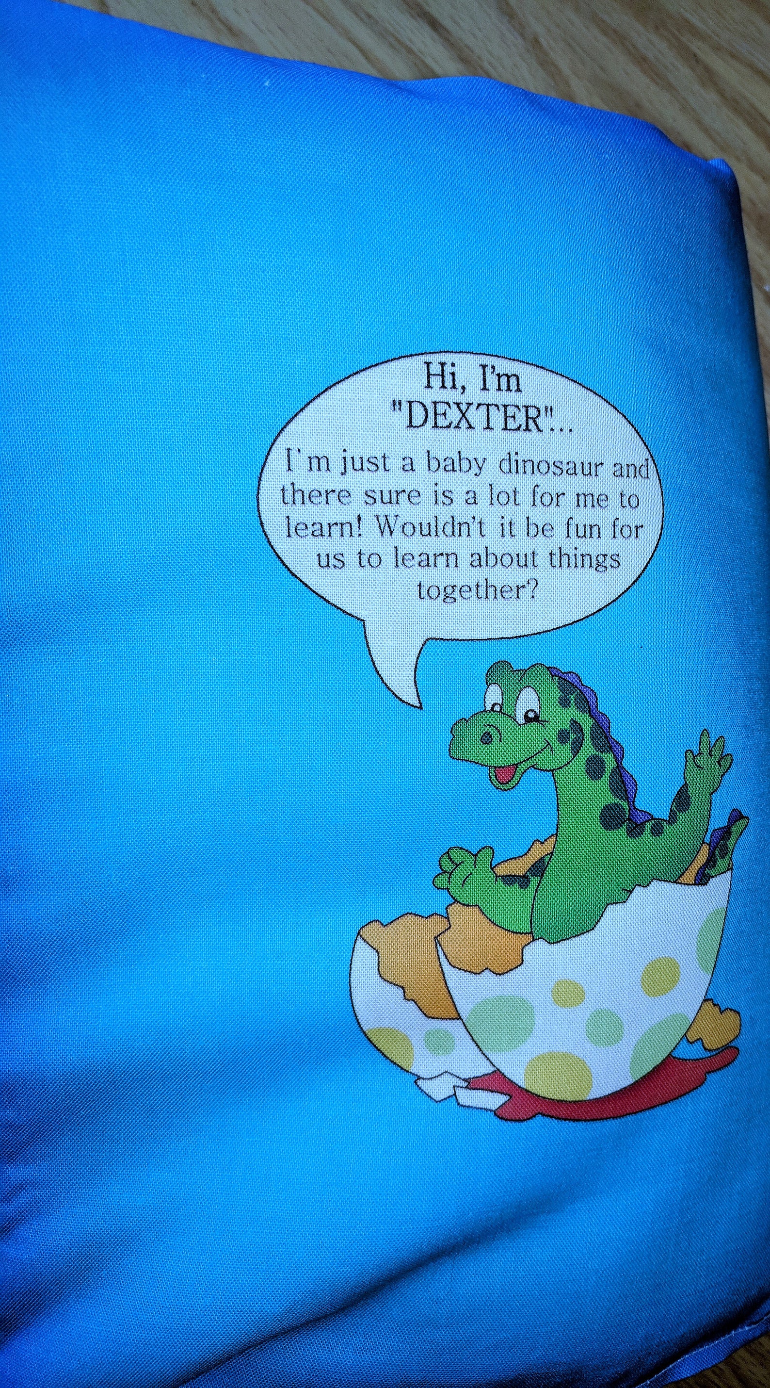 Dexter Dinosaur Learns Letters BK150265 | Etsy