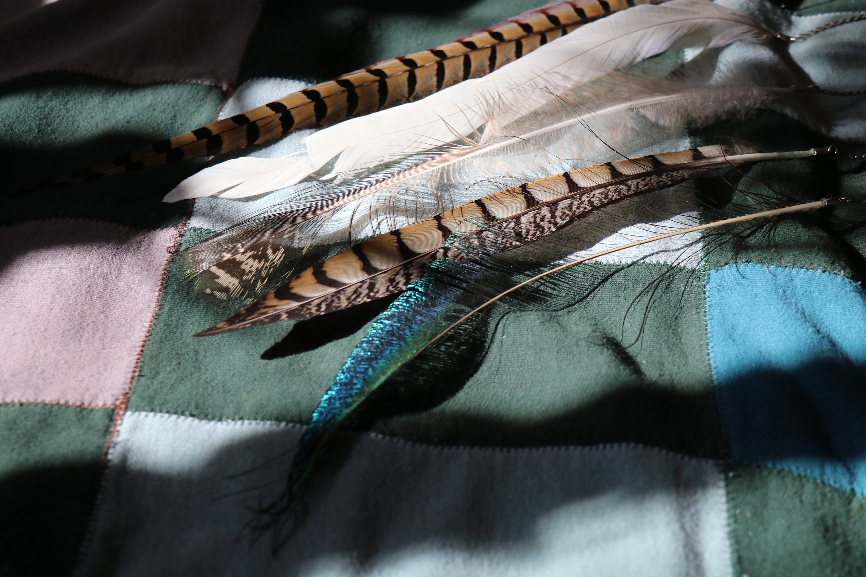 Rib Bone Wall Decor Peacock Feather Collection Boho Natural Rustic ...