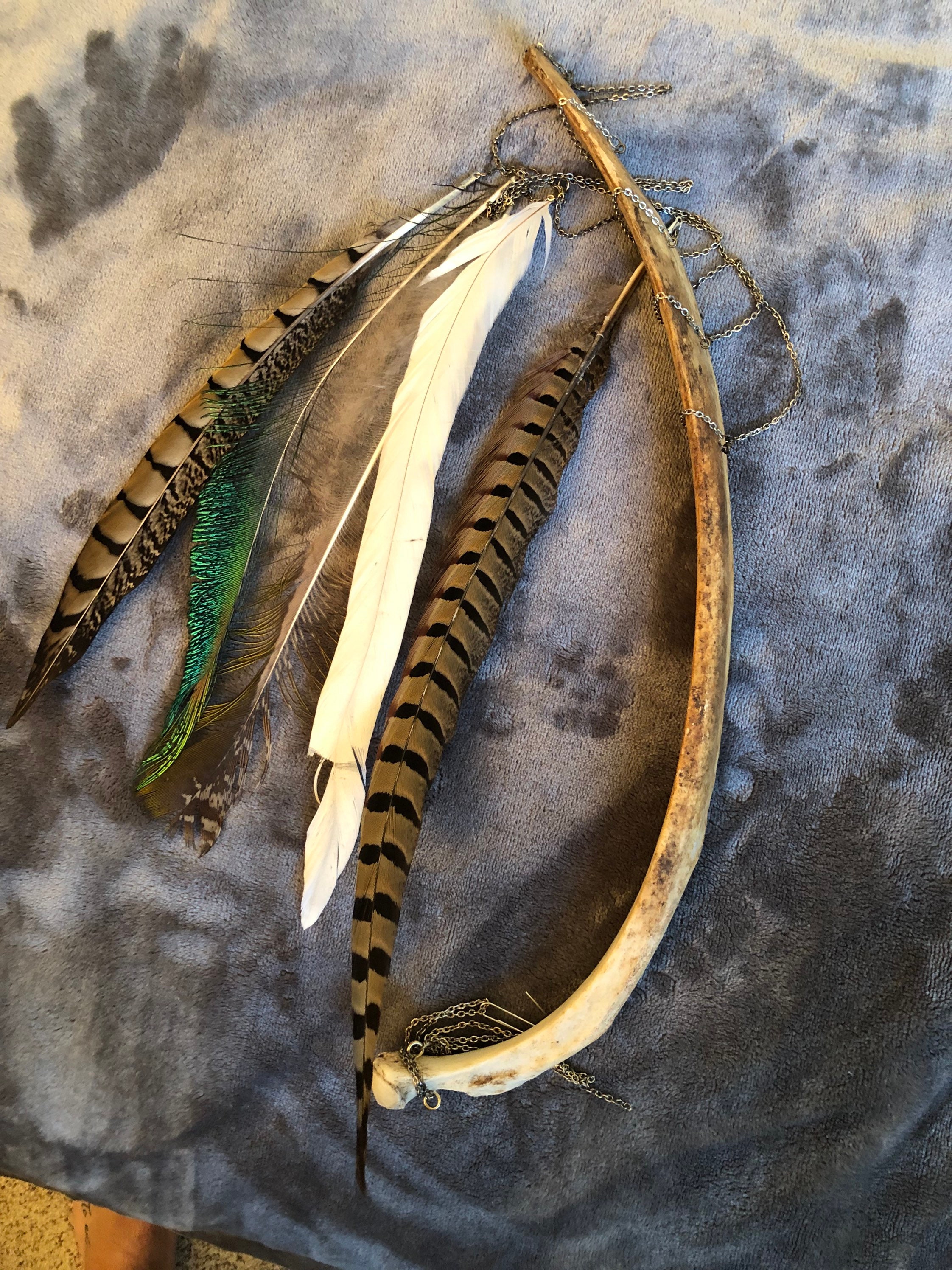 Rib Bone Wall Decor Peacock Feather Collection Boho Natural Rustic ...