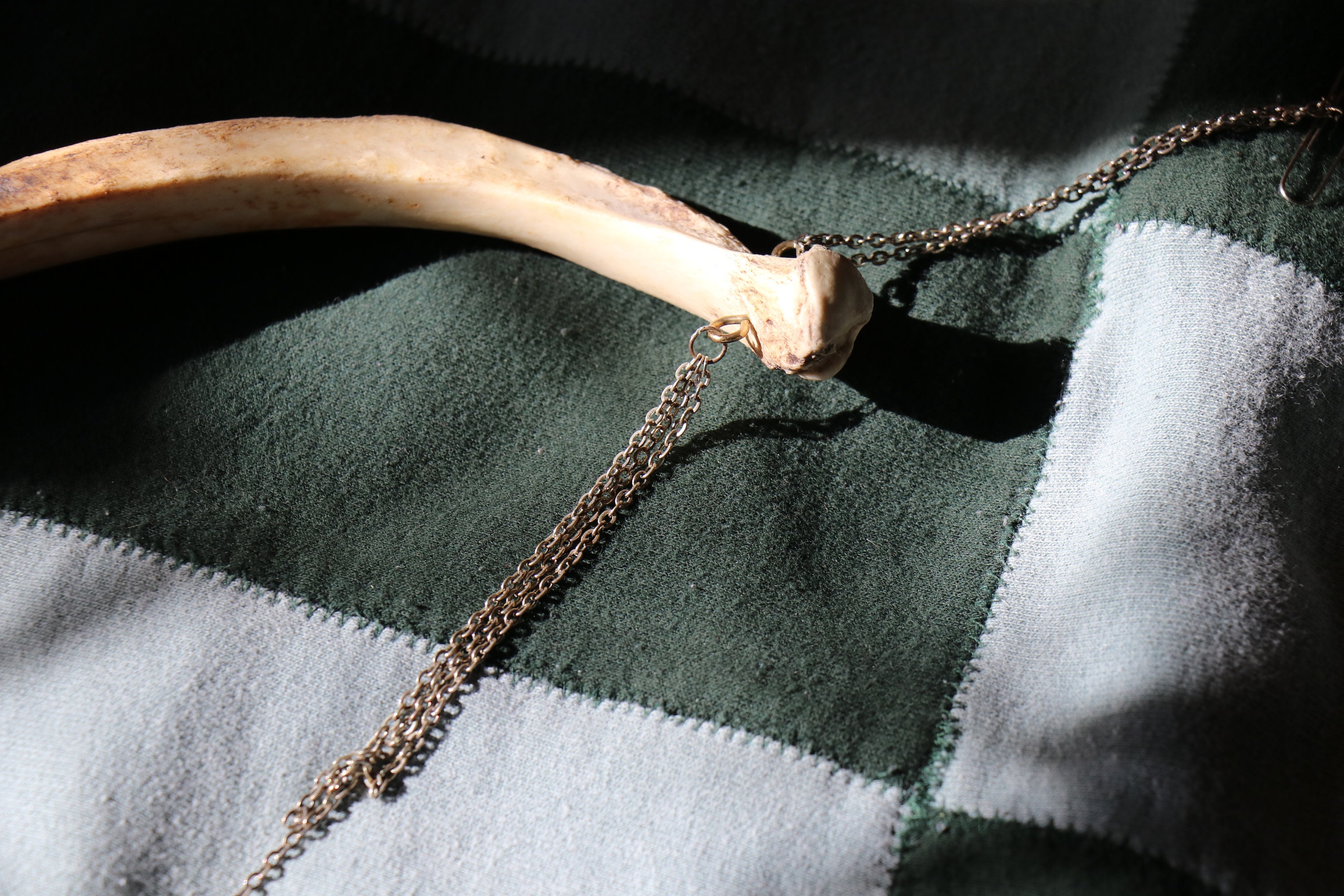 Rib Bone Wall Decor Peacock Feather Collection Boho Natural | Etsy