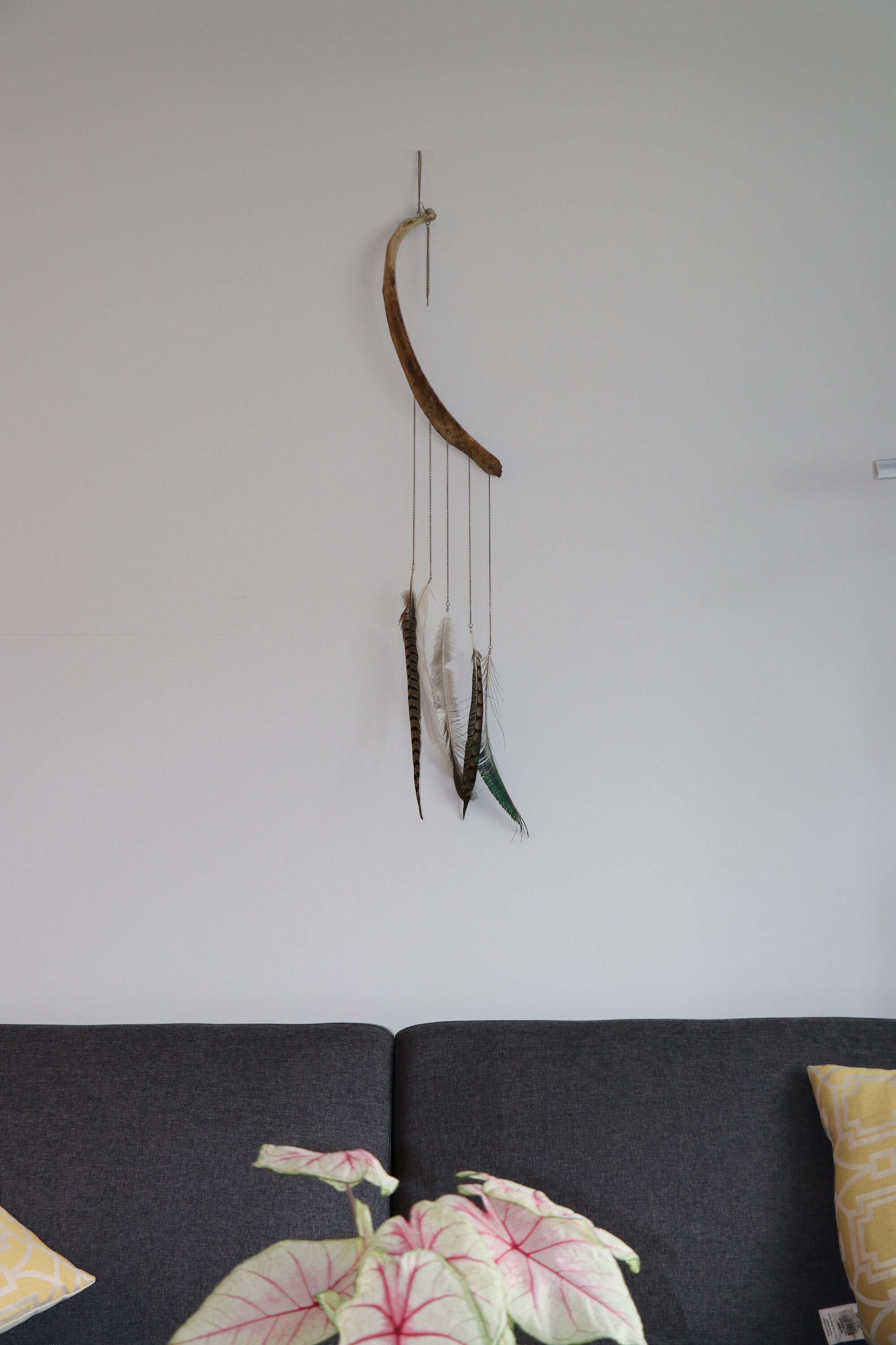 Rib Bone Wall Decor Peacock Feather Collection Boho Natural | Etsy