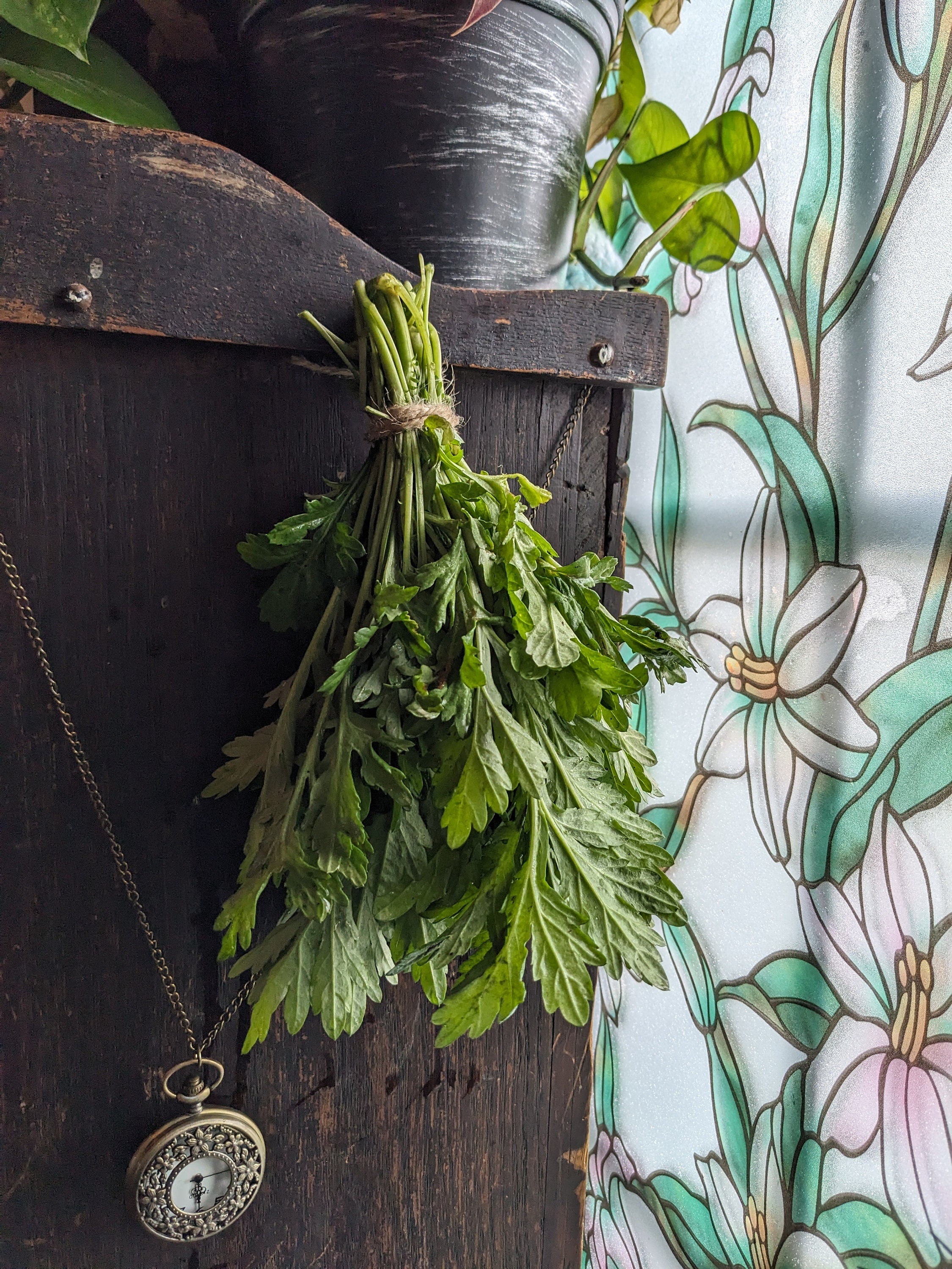 Large Mugwort Bundle - Fresh Cut or Dried - Tea, Witchcraft, Herbalism ...