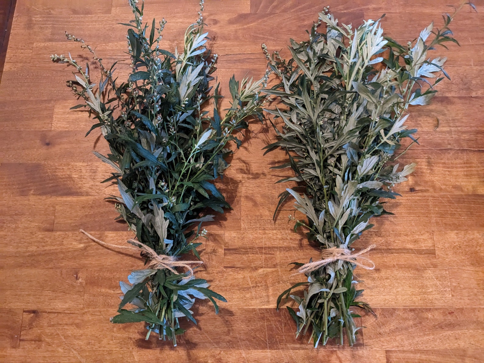 Large Mugwort Bundle Fresh Cut or Dried Tea, Witchcraft, Herbalism ...