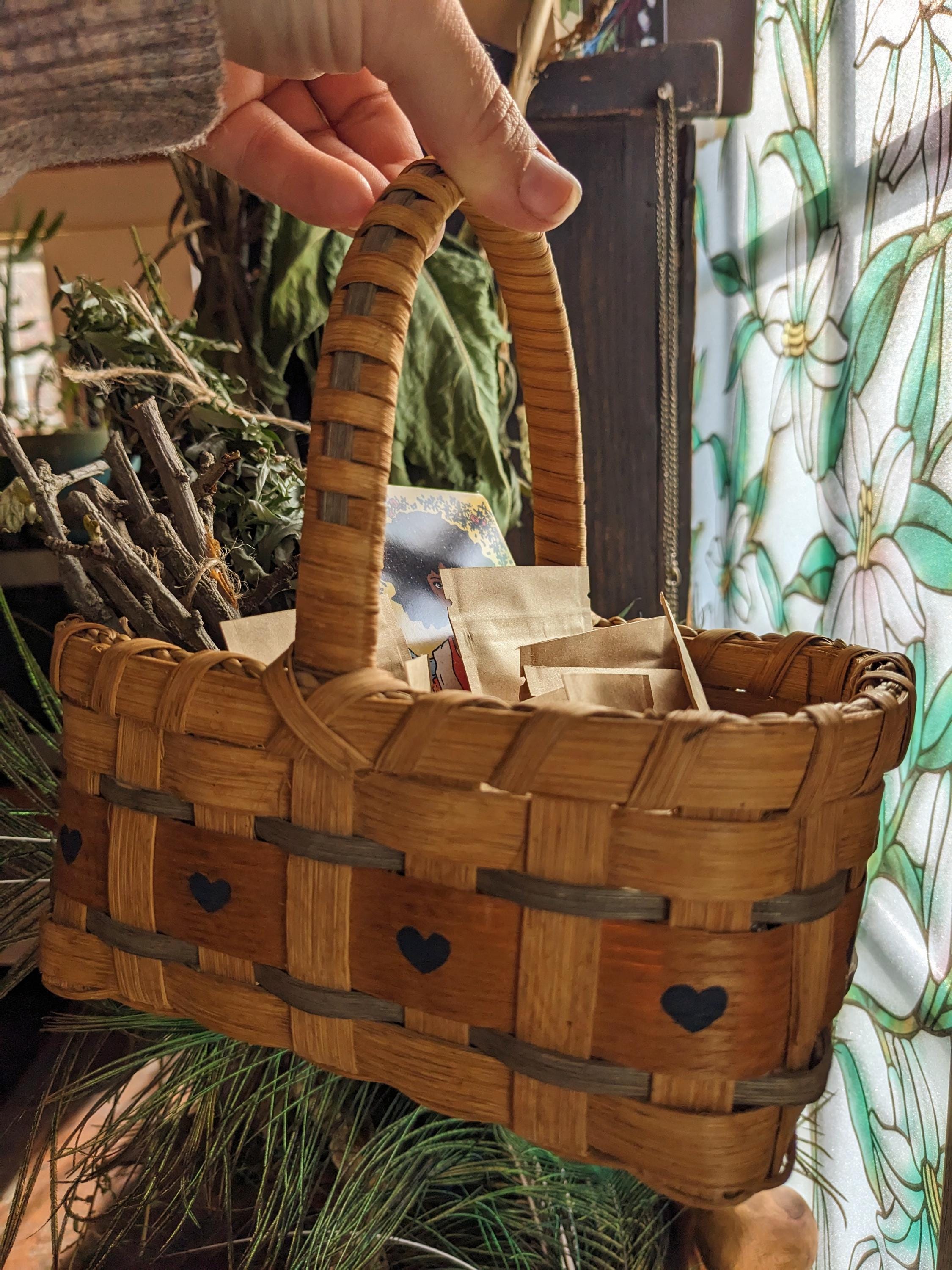 Home Apothecary Starter Kit: Organically Grown Herbs, Tincture Bottle ...