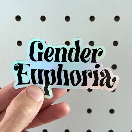 Gender Outlaw Vinyl Sticker - Etsy