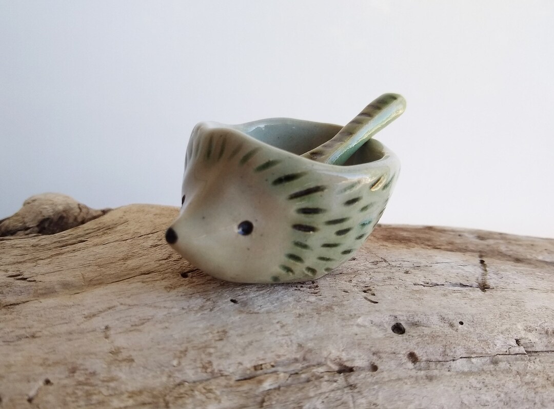 Hedgehog Ceramic Condiments Dish With Spoon Gift Plate Salt Sugar ...