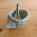 Hedgehog Ceramic Condiments Dish With Spoon Gift Plate Salt Sugar ...