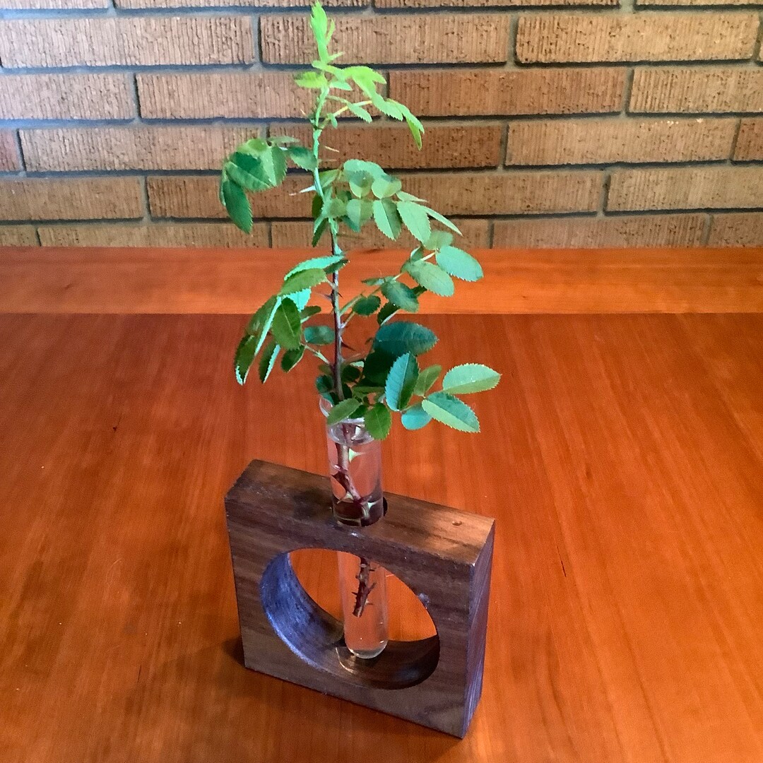 Plant Propagation Bud Vase Stand Walnut - Etsy