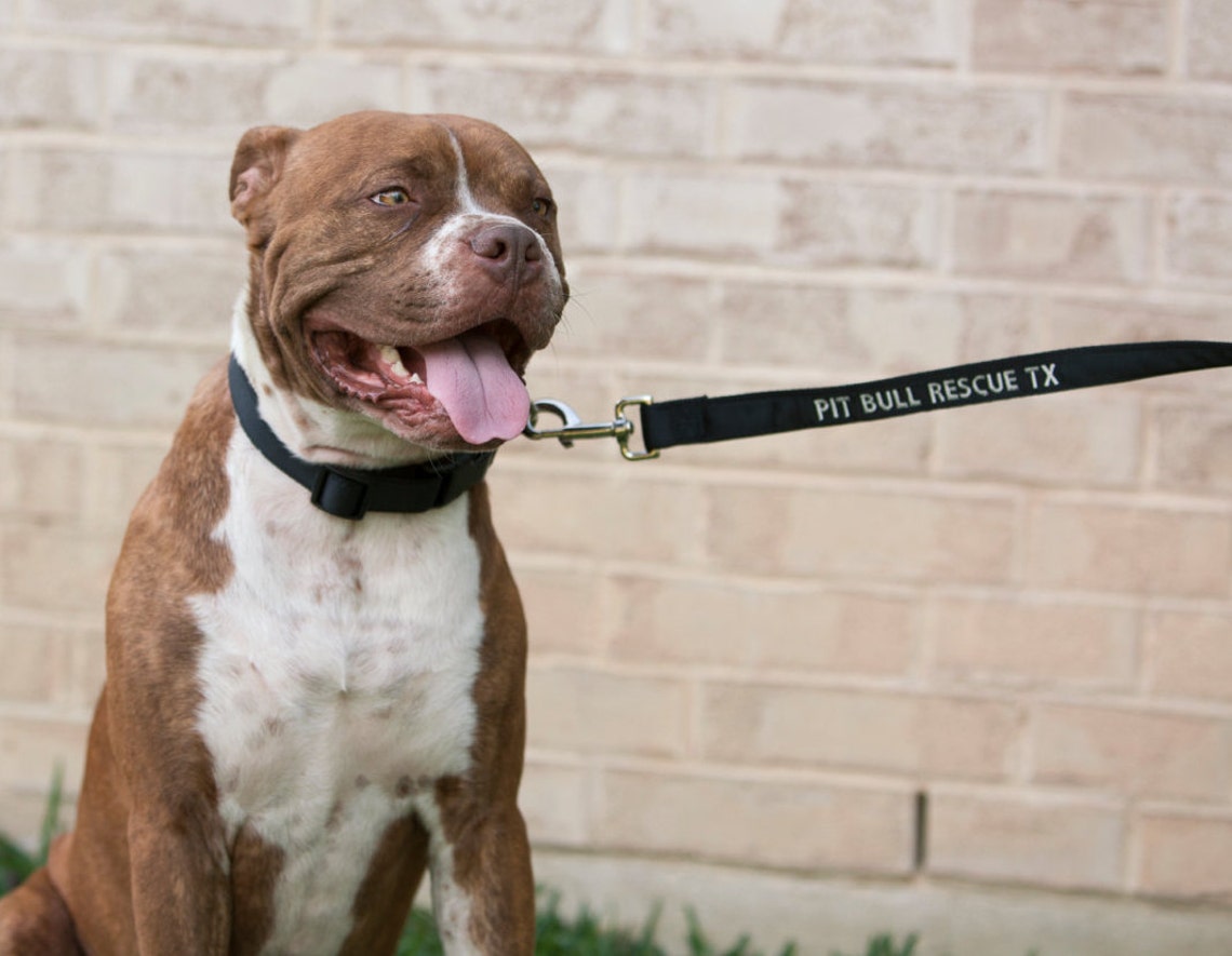 Custom Personalized Embroidered Dog Leash - Etsy