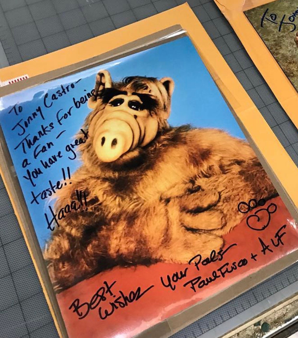 11x14 Alf Print - Etsy