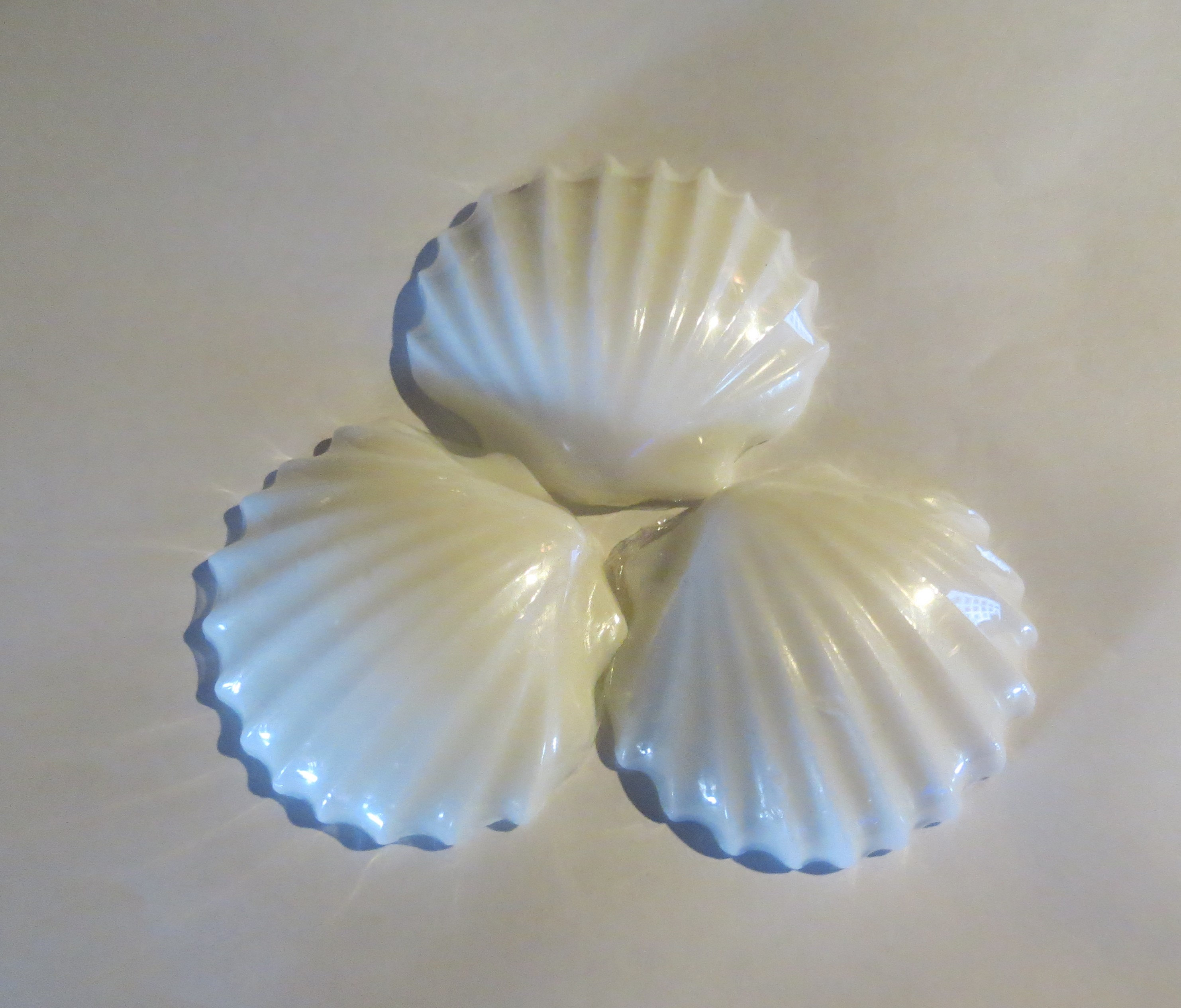 Sea Shell Soap Set 3 Bar Package - Etsy