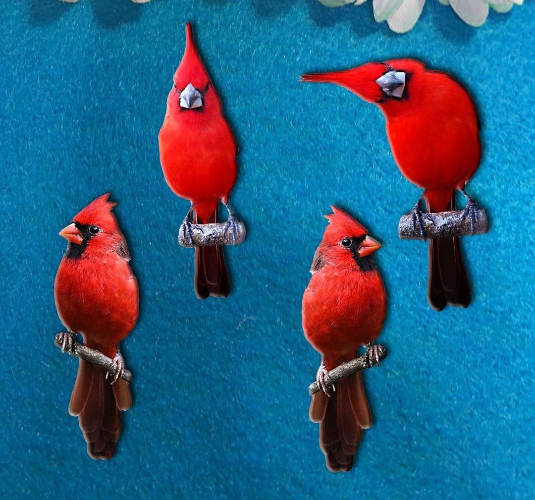 Red Cardinal Birds Chipboard Embellishments Glitter 4 Sizes Standing ...
