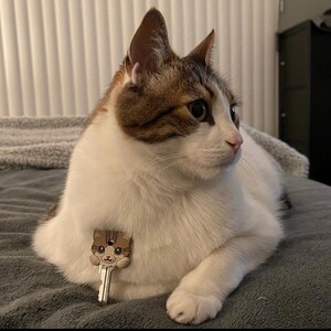 Cat Key Cover/ Key Identifier - Etsy