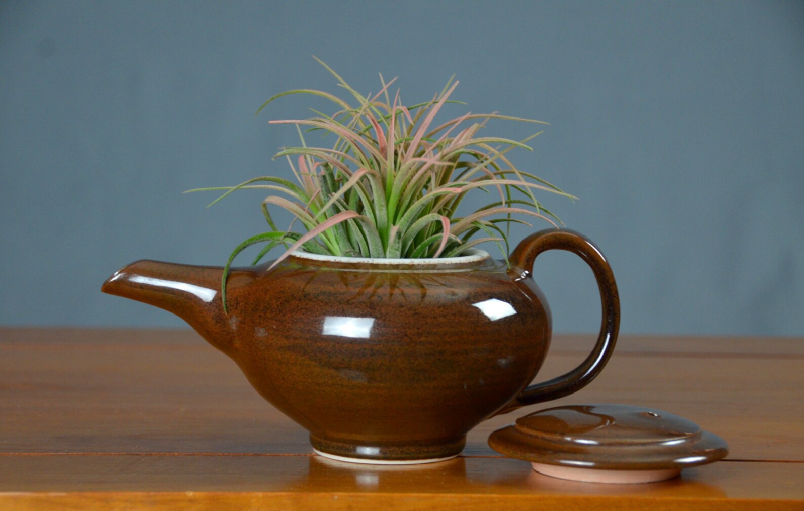 Brown Succulent Planter Teapot Window Planter Ceramic - Etsy