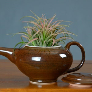 Brown Succulent Planter Teapot Window Planter Ceramic - Etsy