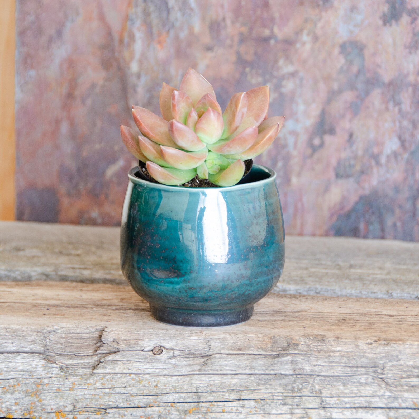 Green Ceramic Succulent Planter, Hand Made Porcelain Pottery, Herb ...
