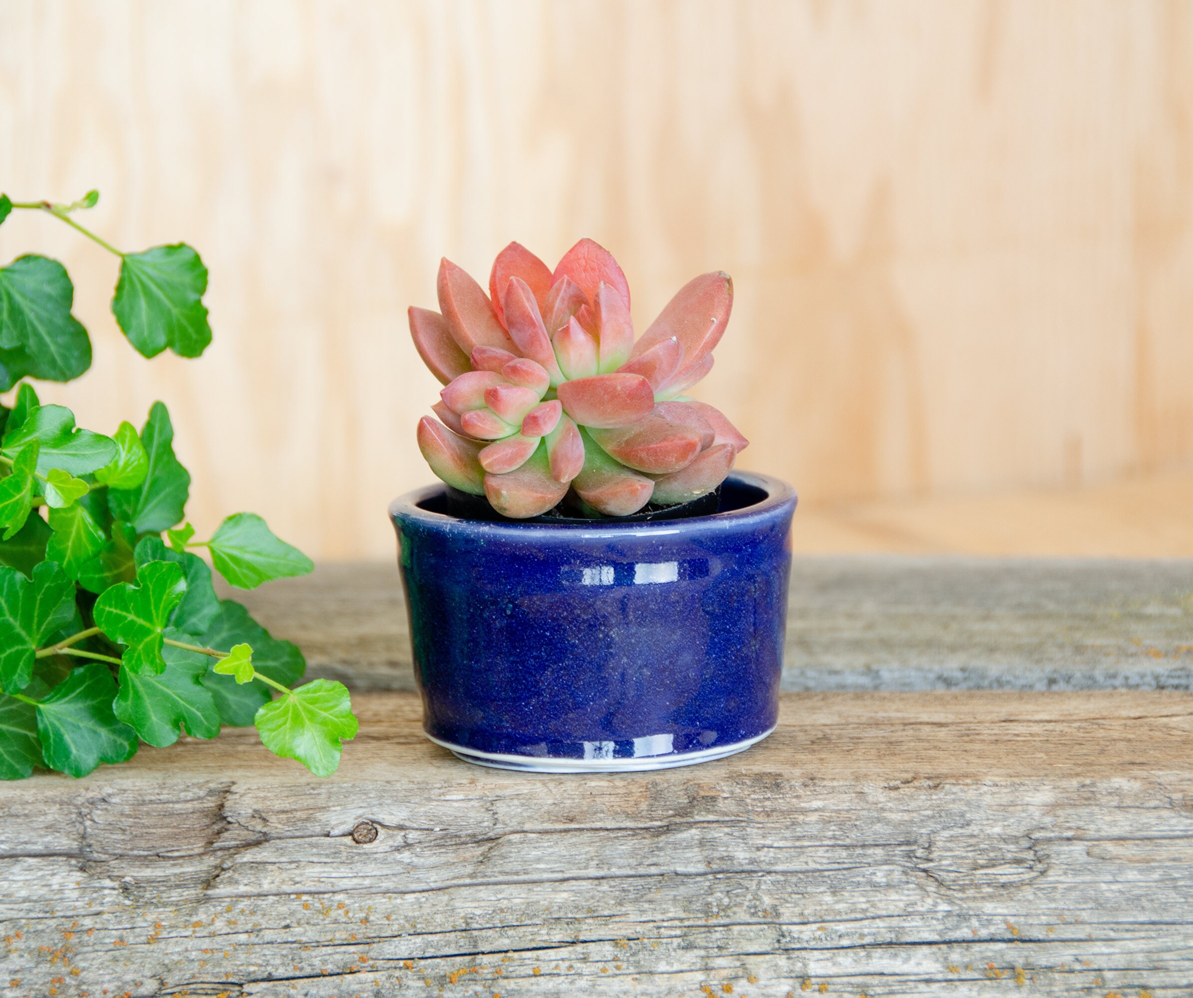 Succulent Planter Set, Hand Made Porcelain Pottery, Ceramic, Blue, Herb ...