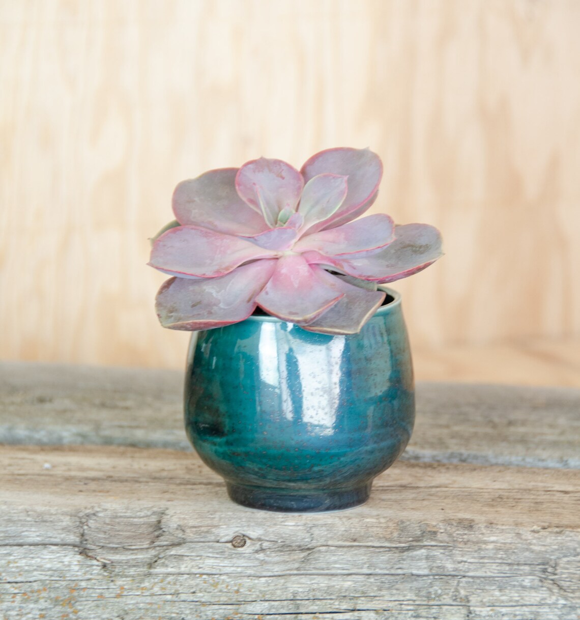 Green Ceramic Succulent Planter, Hand Made Porcelain Pottery, Herb ...