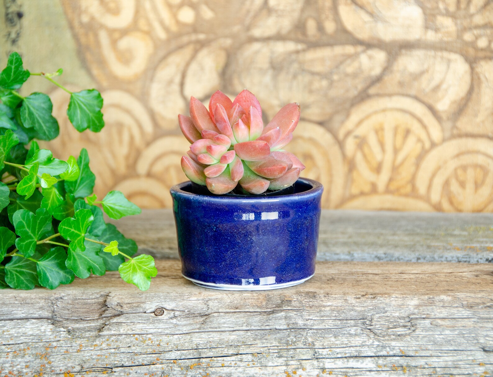 Succulent Planter Set, Hand Made Porcelain Pottery, Ceramic, Blue, Herb ...