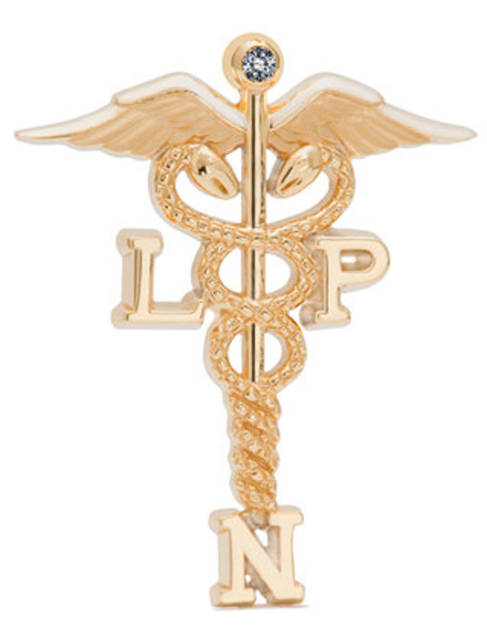Licensed Practical Nurse Lapel Pin, Charm or Necklace in Sterling ...