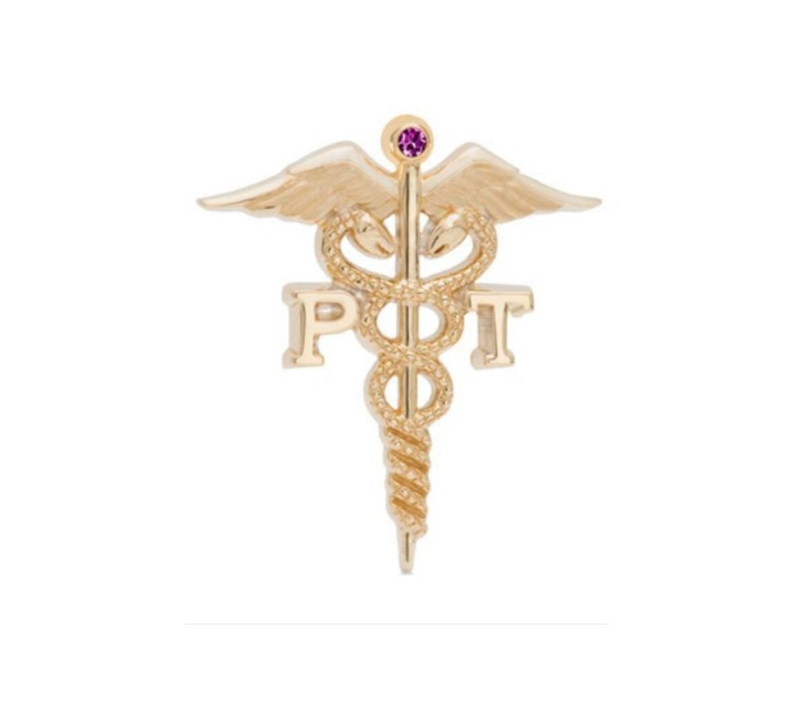 Physical Therapist Lapel Pin, Charm or Necklace in Sterling Silver, 10K ...