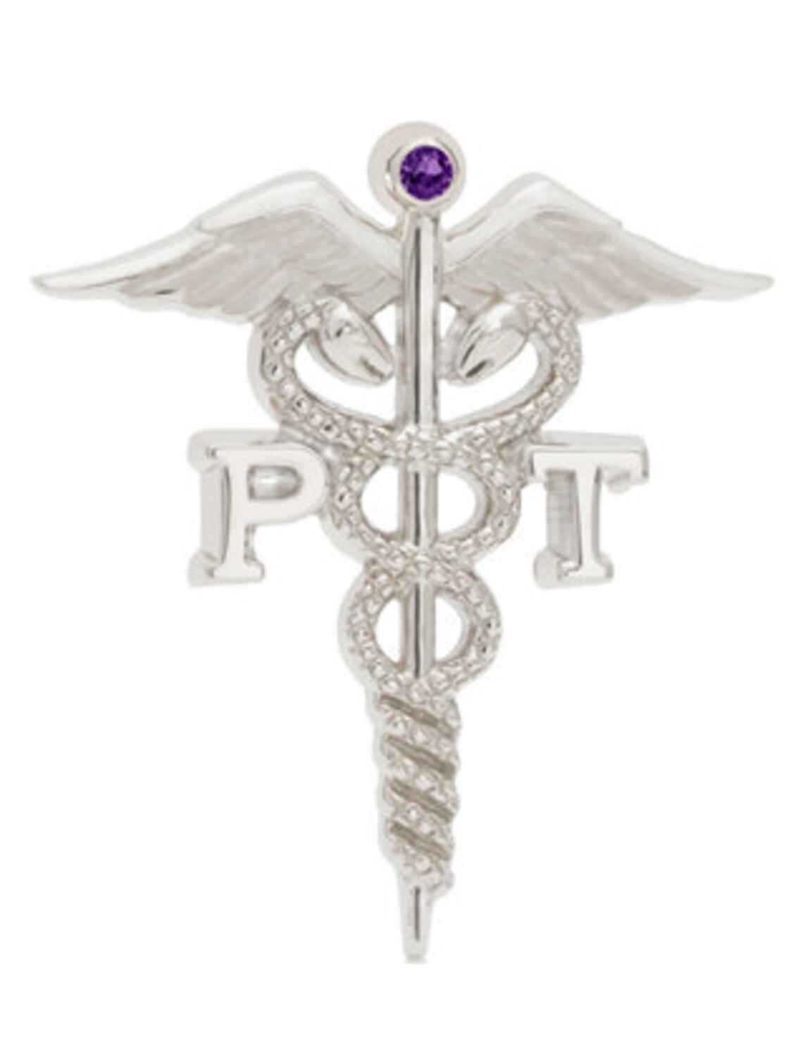Physical Therapist Lapel Pin, Charm or Necklace in Sterling Silver, 10K ...