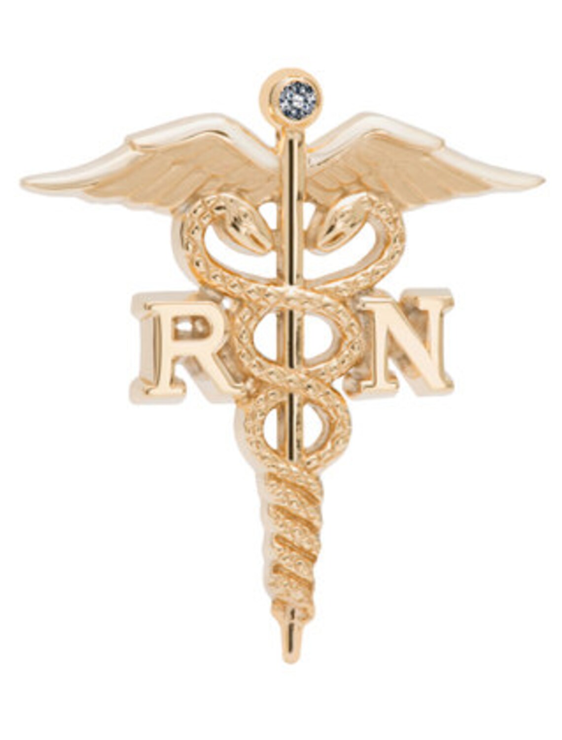 Registered Nurse Lapel Pin, Charm or Necklace in Sterling Silver, 10K ...
