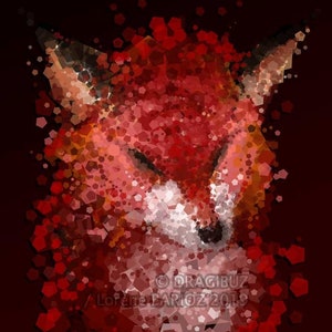 Hard Print Fox (forex) A4 - "graphic Fox" - Etsy