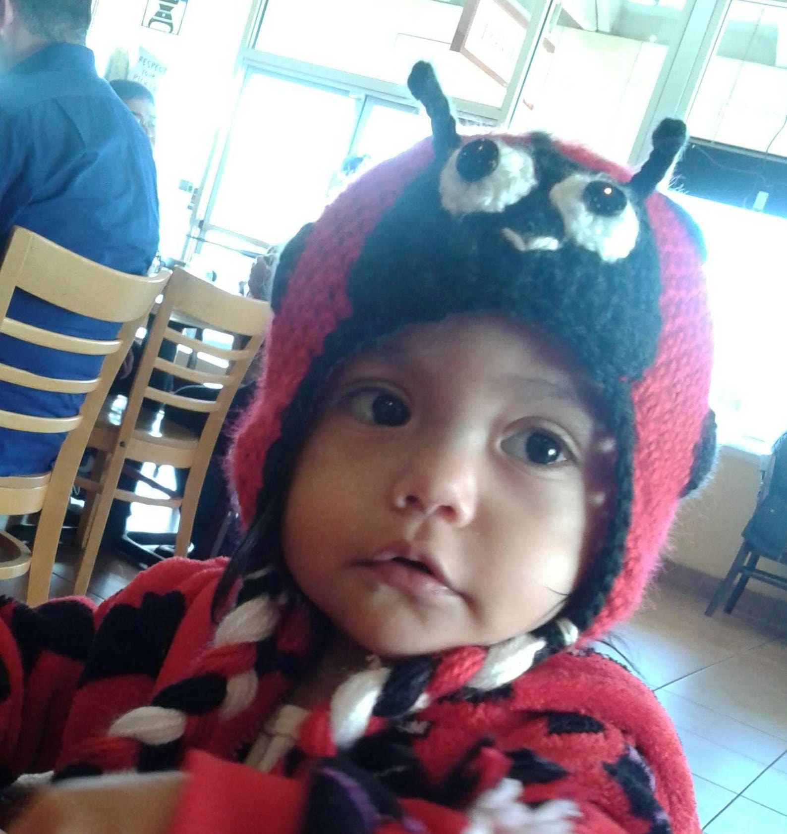 Ladybug Crochet Hat, Ladybug Hat, Crochet Hat - Etsy