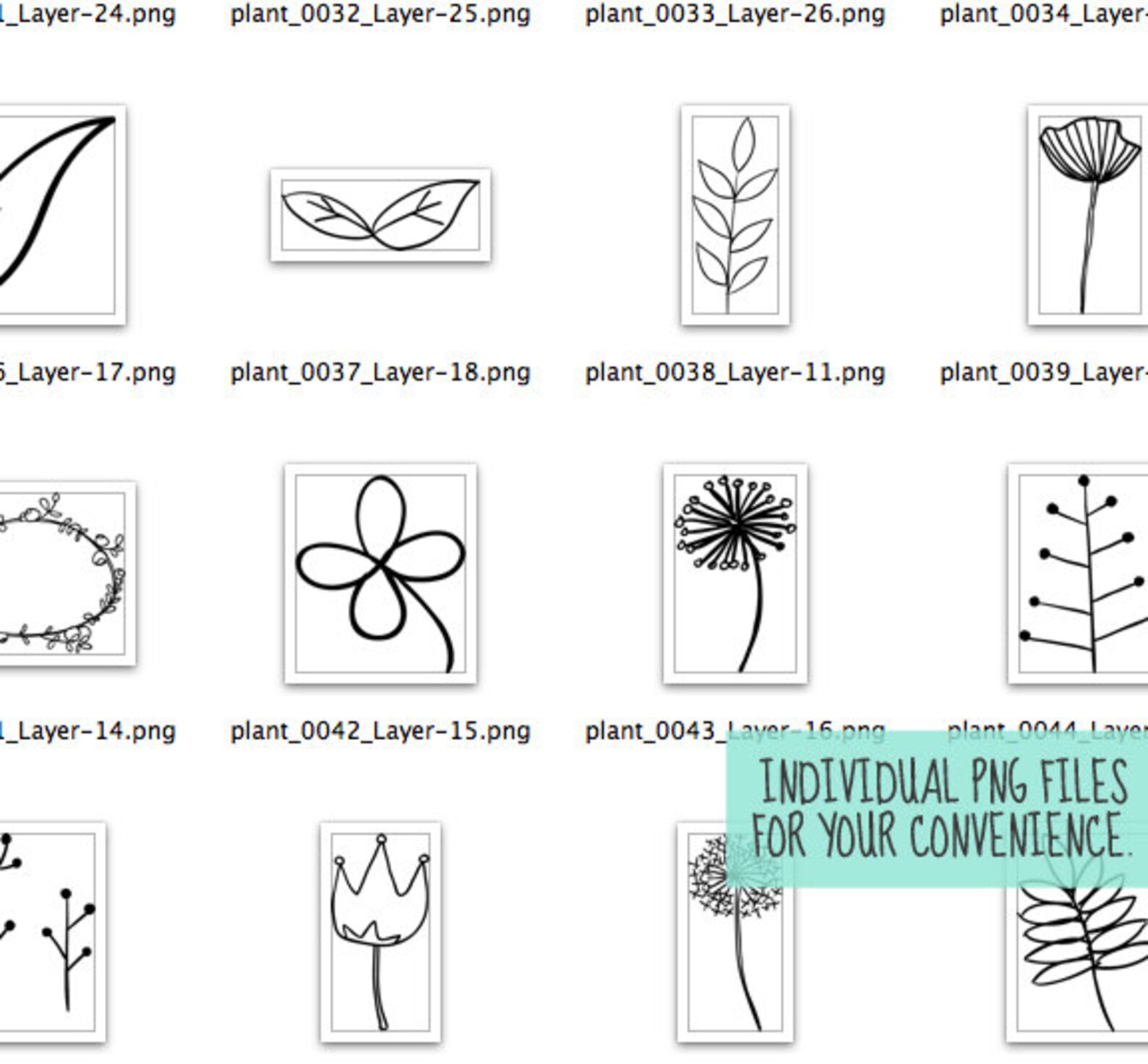 Digital Hand-drawn Plants Vector, Plants Clipart Bundle, Vector Leaves ...