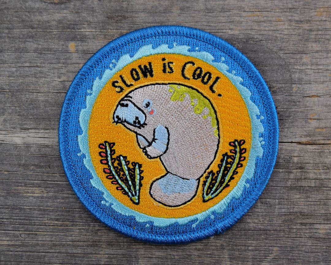 Slow is Cool Embroidered Patch - Etsy