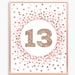 Number 13 Sign Printable Pink Rose Gold Confetti 13th Birthday Party ...
