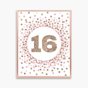 Number 16 Sign Printable Pink Rose Gold 16th Birthday Party Decor Rose ...