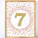 Number 7 Sign Printable 7th Birthday Party Decorations Pink and Gold ...