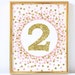 Gold Number 2 Sign Printable Pink and Gold 2nd Birthday | Etsy