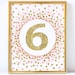 Number 6 Sign Printable Pink and Gold 6th Birthday Decorations Gold ...