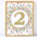 2nd Birthday Sign Number 2 Sign Printable 2nd Birthday Party Decor ...
