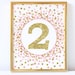 Gold Number 2 Sign Printable Pink and Gold 2nd Birthday Decorations 2nd ...