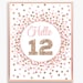 Hello 12 Sign Printable Pink and Rose Gold 12th Birthday Table Sign ...