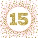 15th Birthday Decorations Pink and Gold Number 15 Sign Printable 15th ...