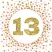 Pink Gold Number 13 Sign 13th Birthday Sign Printable 13th Birthday ...