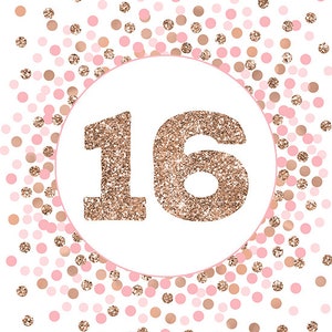 Number 16 Sign Printable Pink Rose Gold 16th Birthday Party Decor Rose ...